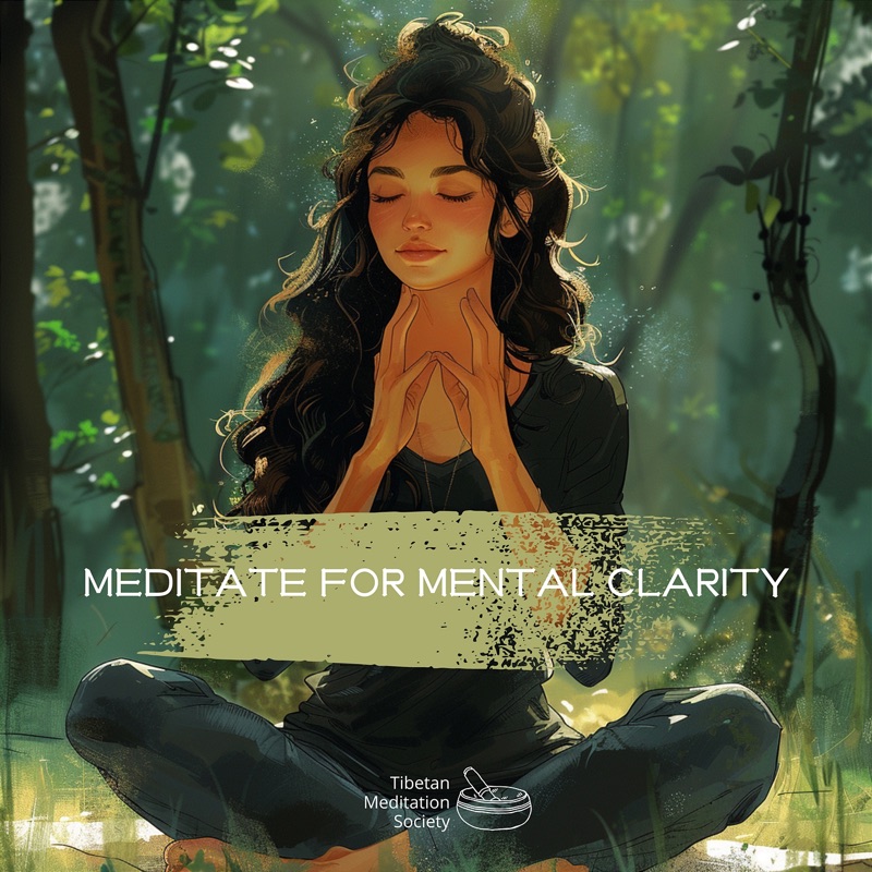 Lotus Reflections - Tibetan Meditation Society: Song Lyrics, Music Videos & Concerts