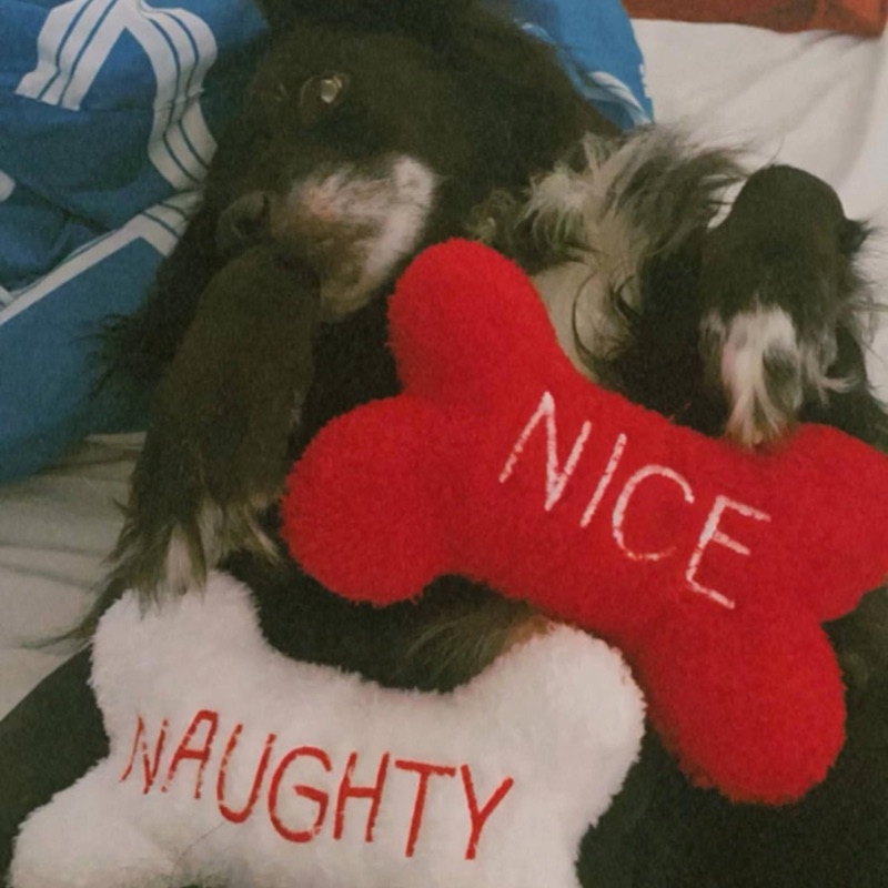 SAFE SPACE - SlXtWrXsts & M3RCY: Song Lyrics, Music Videos & Concerts