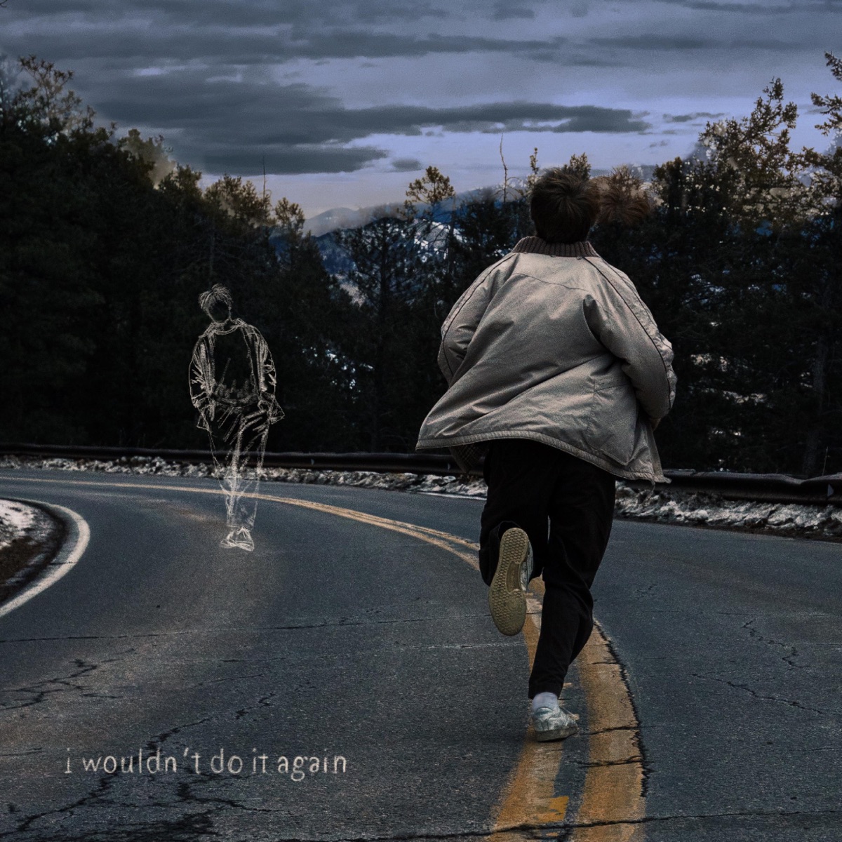 I Wouldn't Do It Again - Ethan Jewell - Album - Apple Music India