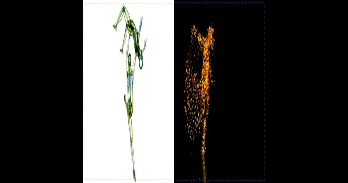 ‎FLOPPY DISC - Single - Album by DEATZ4.7 - Apple Music