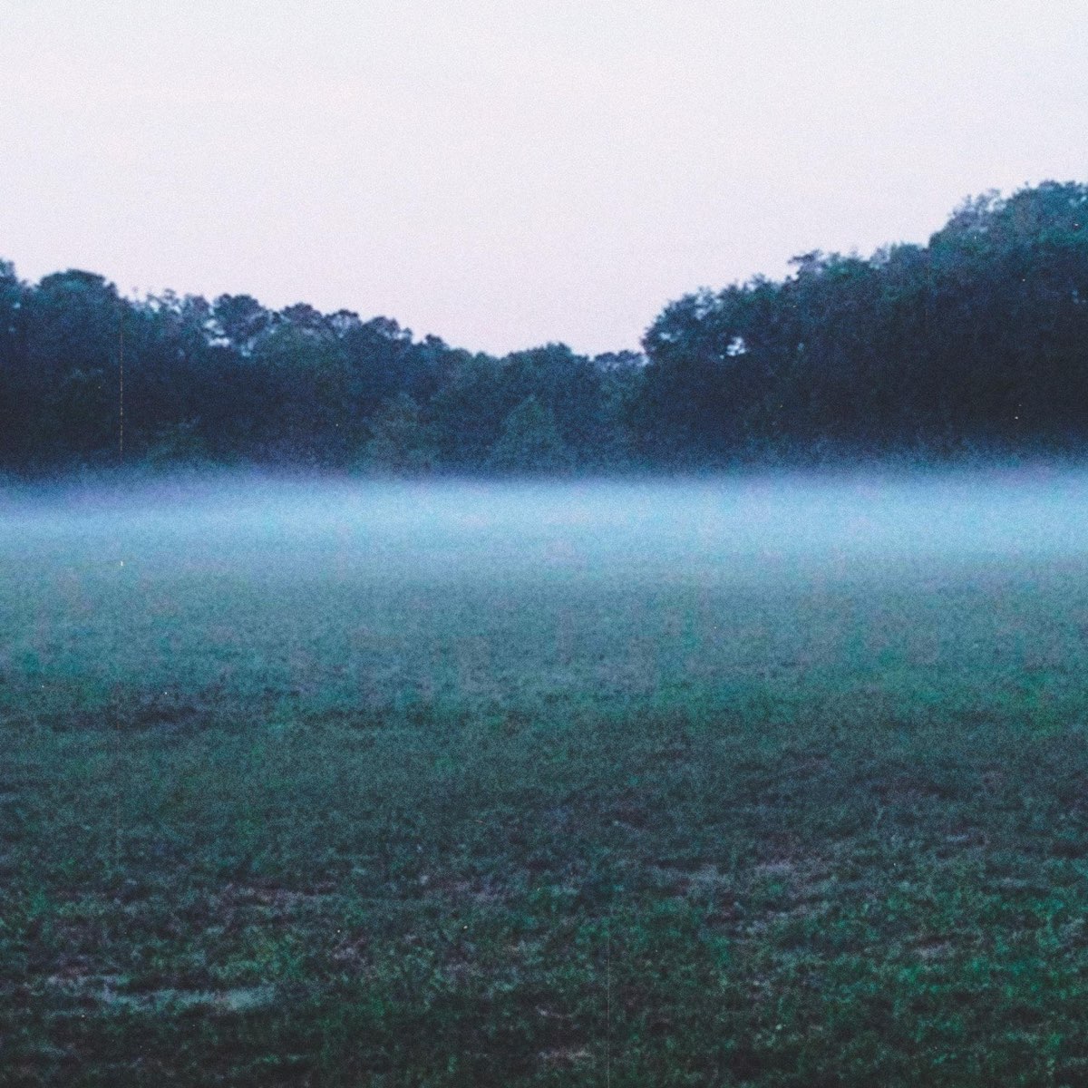 ‎Why (2025 Remaster) - Single - Album by Palinopsia - Apple Music