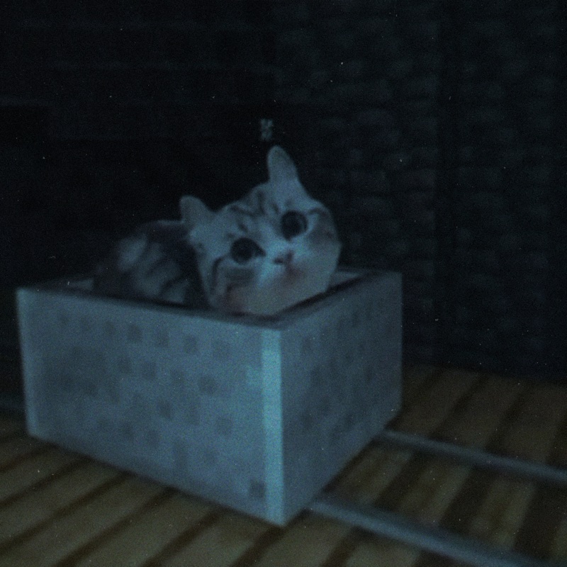 kitten in a minecart - ECHORISE: Song Lyrics, Music Videos & Concerts