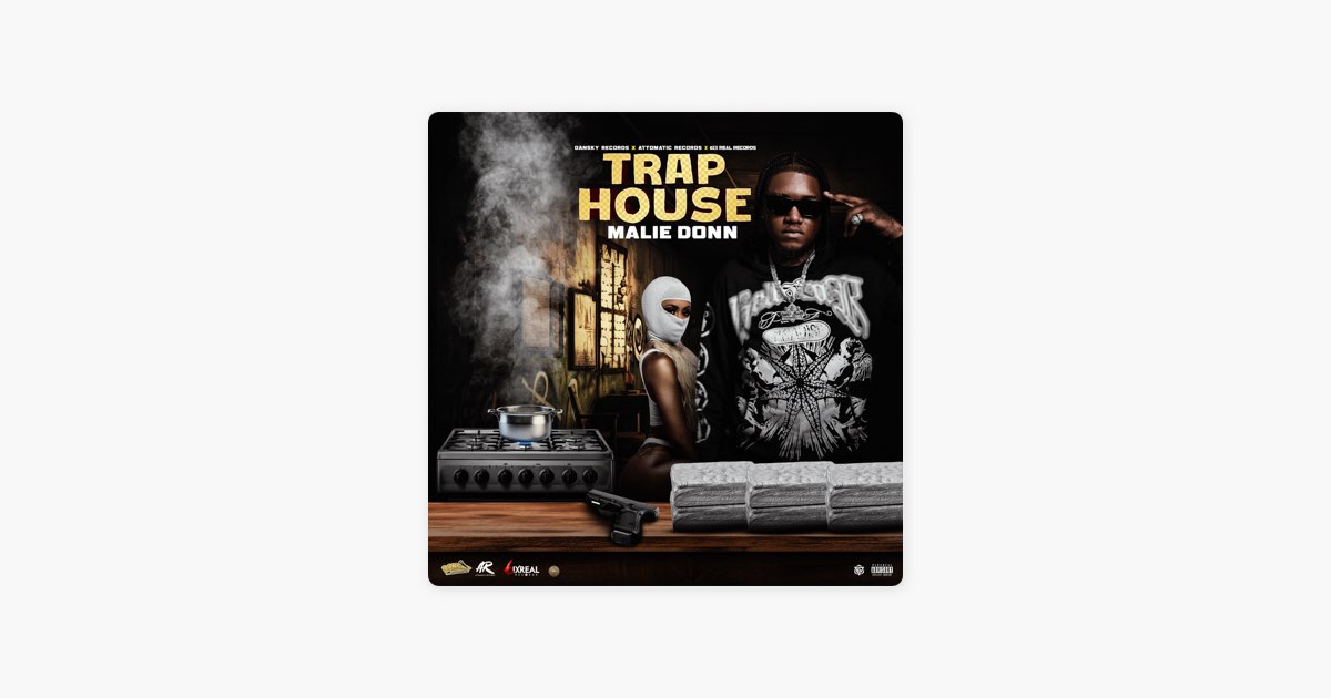 trap House Feat Dan Sky And Attomatic Song By Malie Donn Apple Music