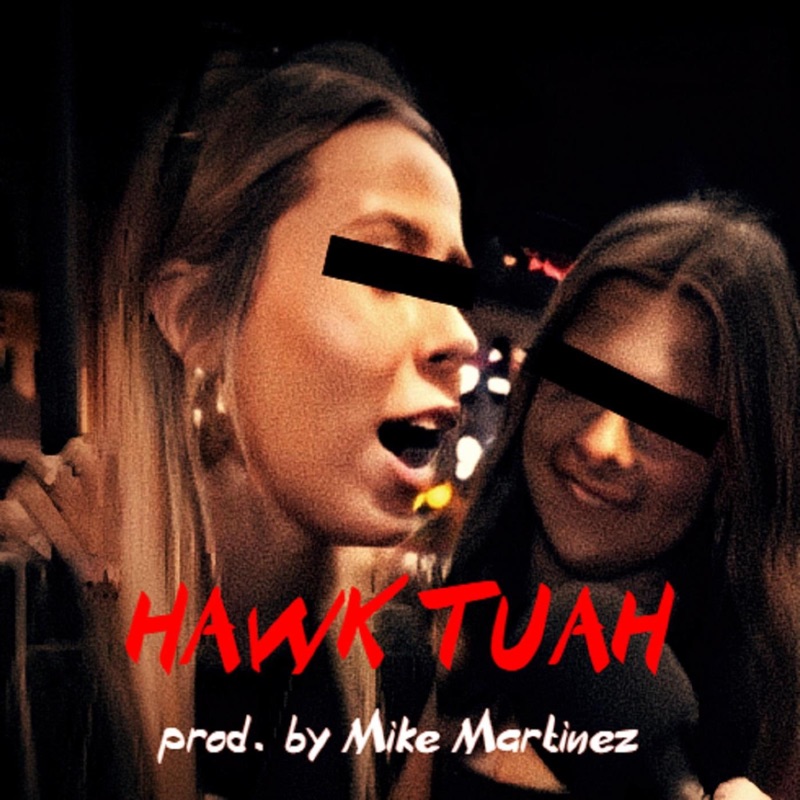 Hawk Tuah (Spit on that Thang) - Mike Martinez: Song Lyrics, Music ...