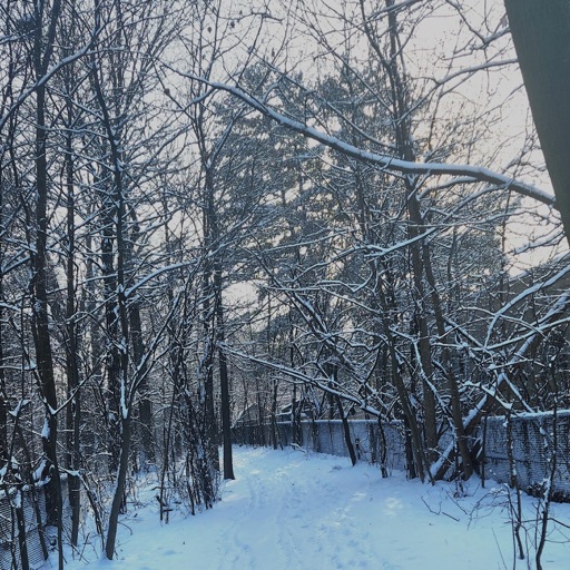 Kraken (Fisch Exclusive) by Kaprii