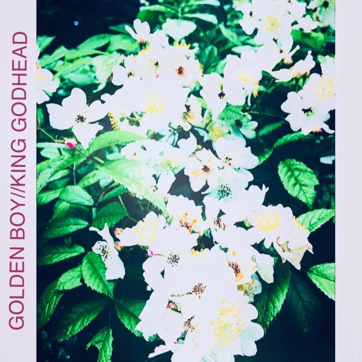 ‎Ghoststories_ - Album by GOLDEN BOY//KING GODHEAD - Apple Music