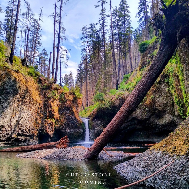 Love Song - Cherrystone: Song Lyrics, Music Videos & Concerts