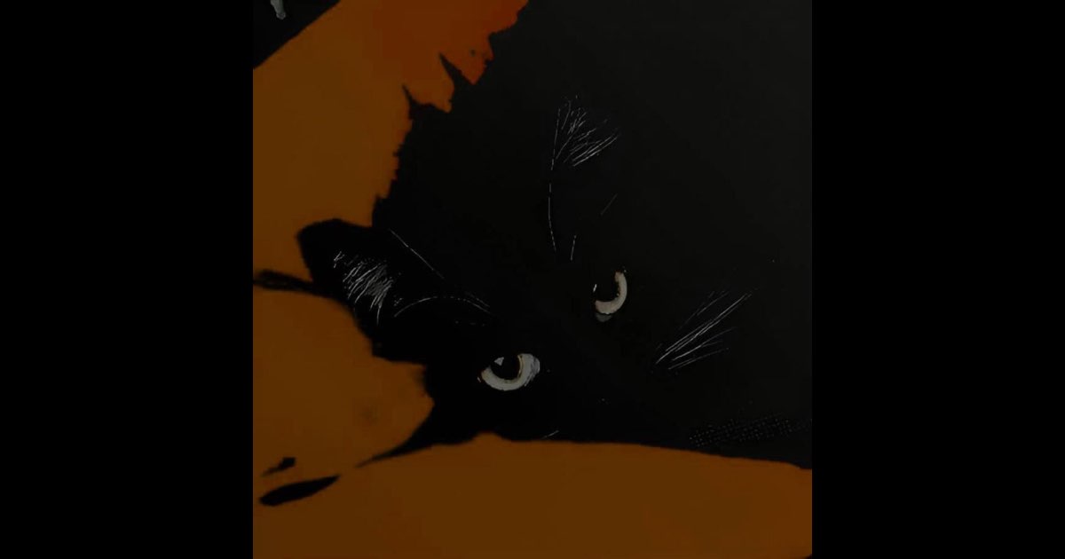 ‎Bleed (Slowed) - Single - Album by Amotti - Apple Music