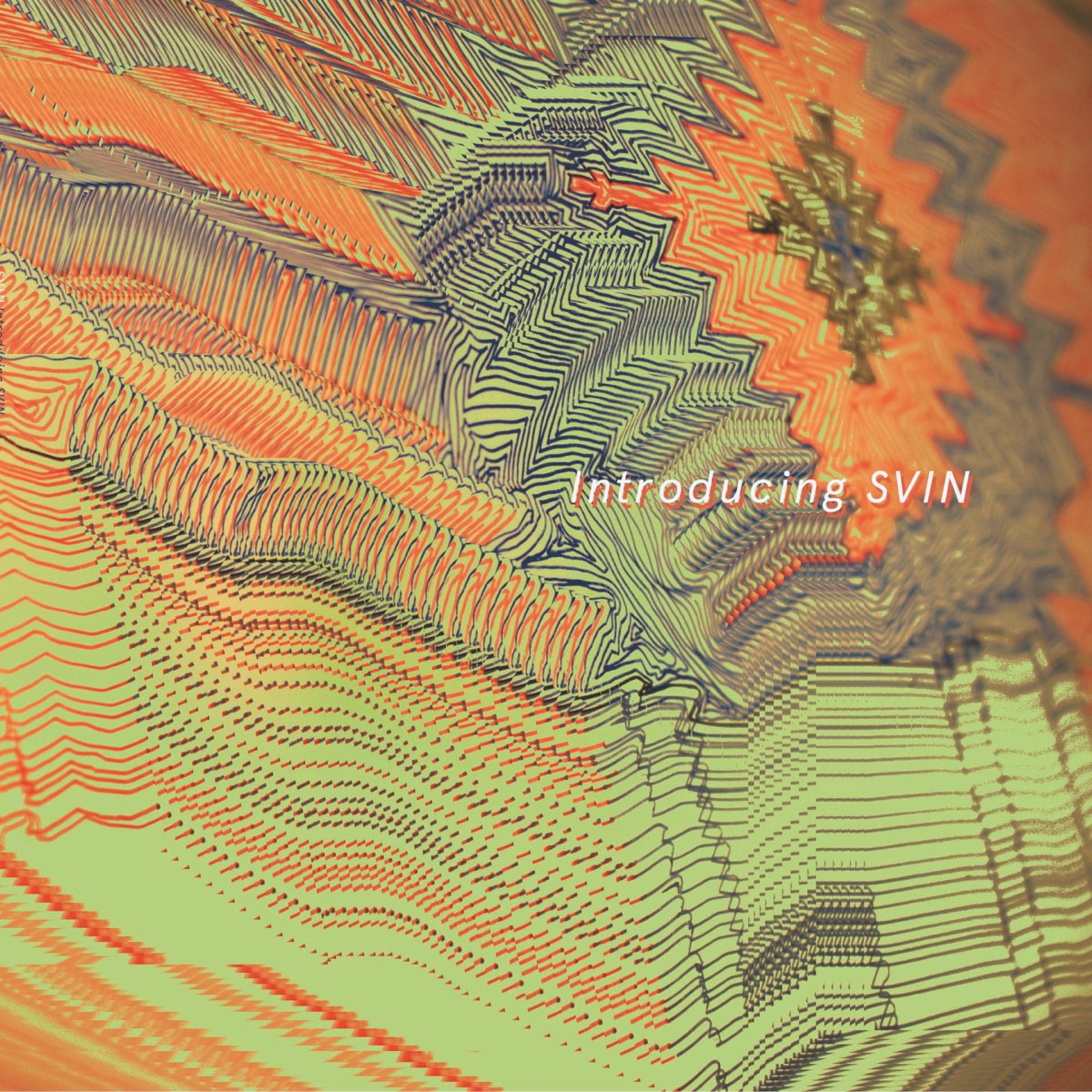 ‎Introducing SVIN - Album by Svin - Apple Music