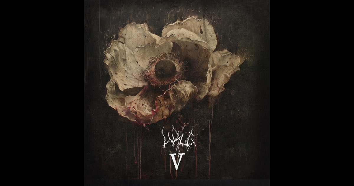‎V - Album by Walg - Apple Music