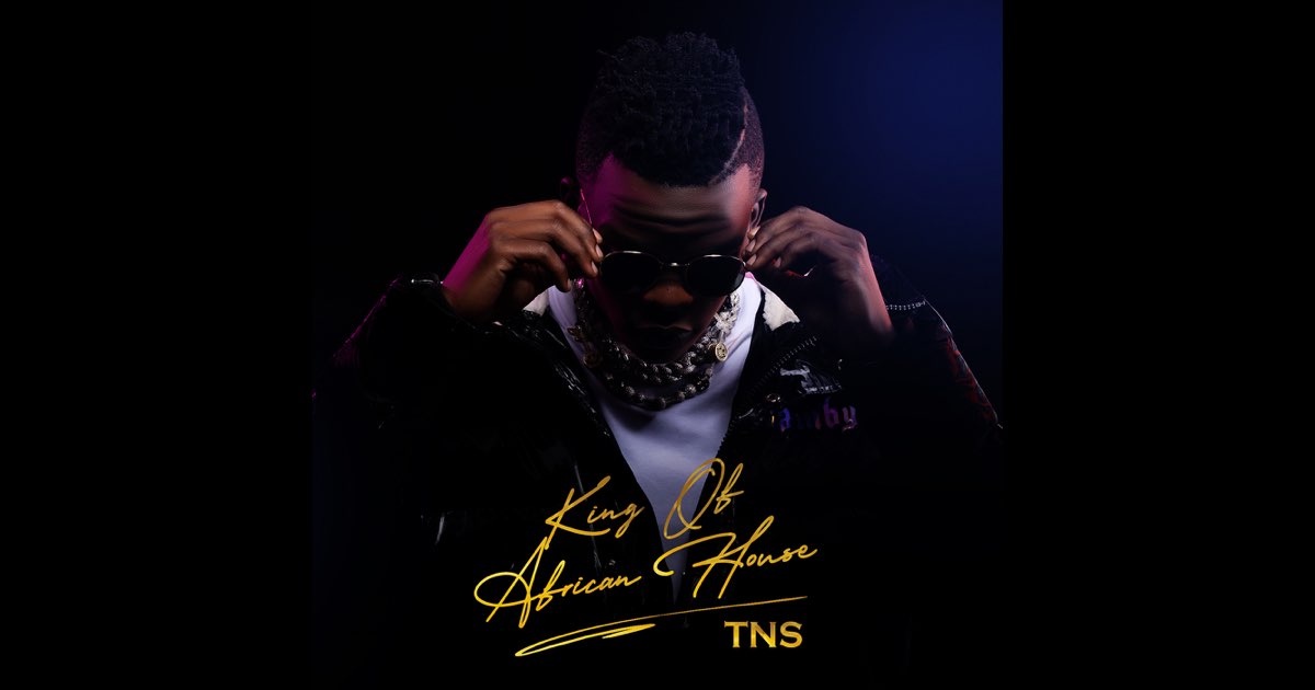 ‎The King Of African House - Album by TNS - Apple Music