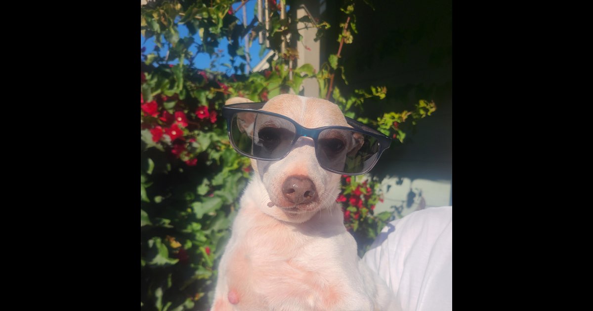 ‎Stumbling through the promised land. - Single - Album by Boarding ...