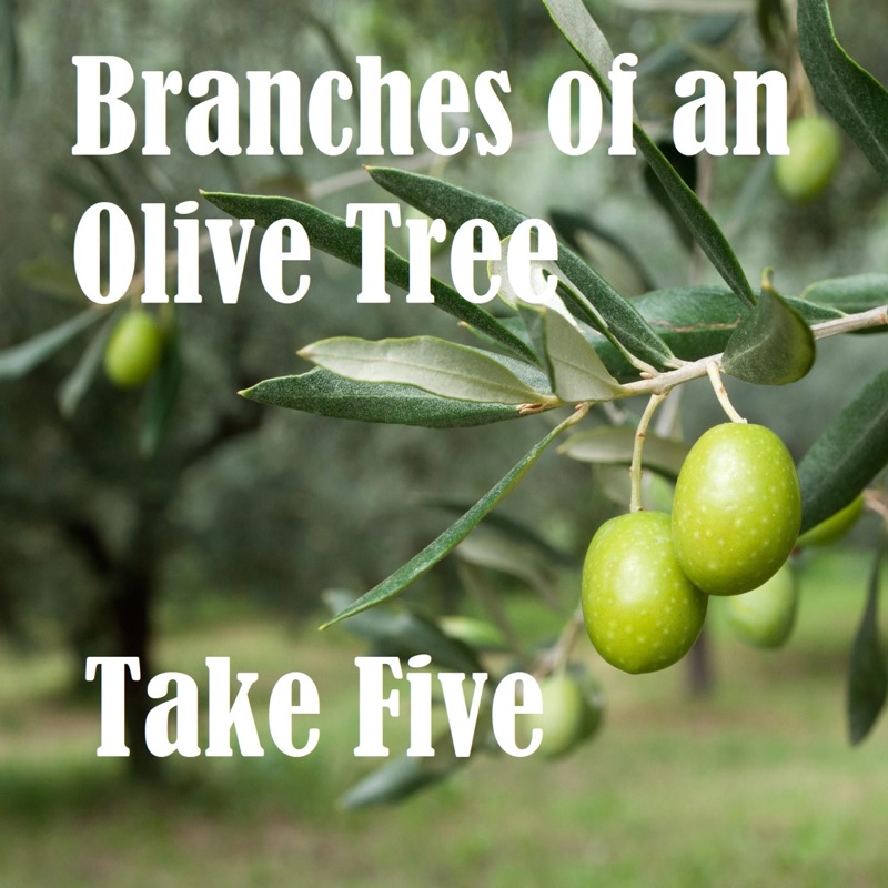 The Olive Tree - Branches of an Olive Tree: Song Lyrics, Music Videos ...