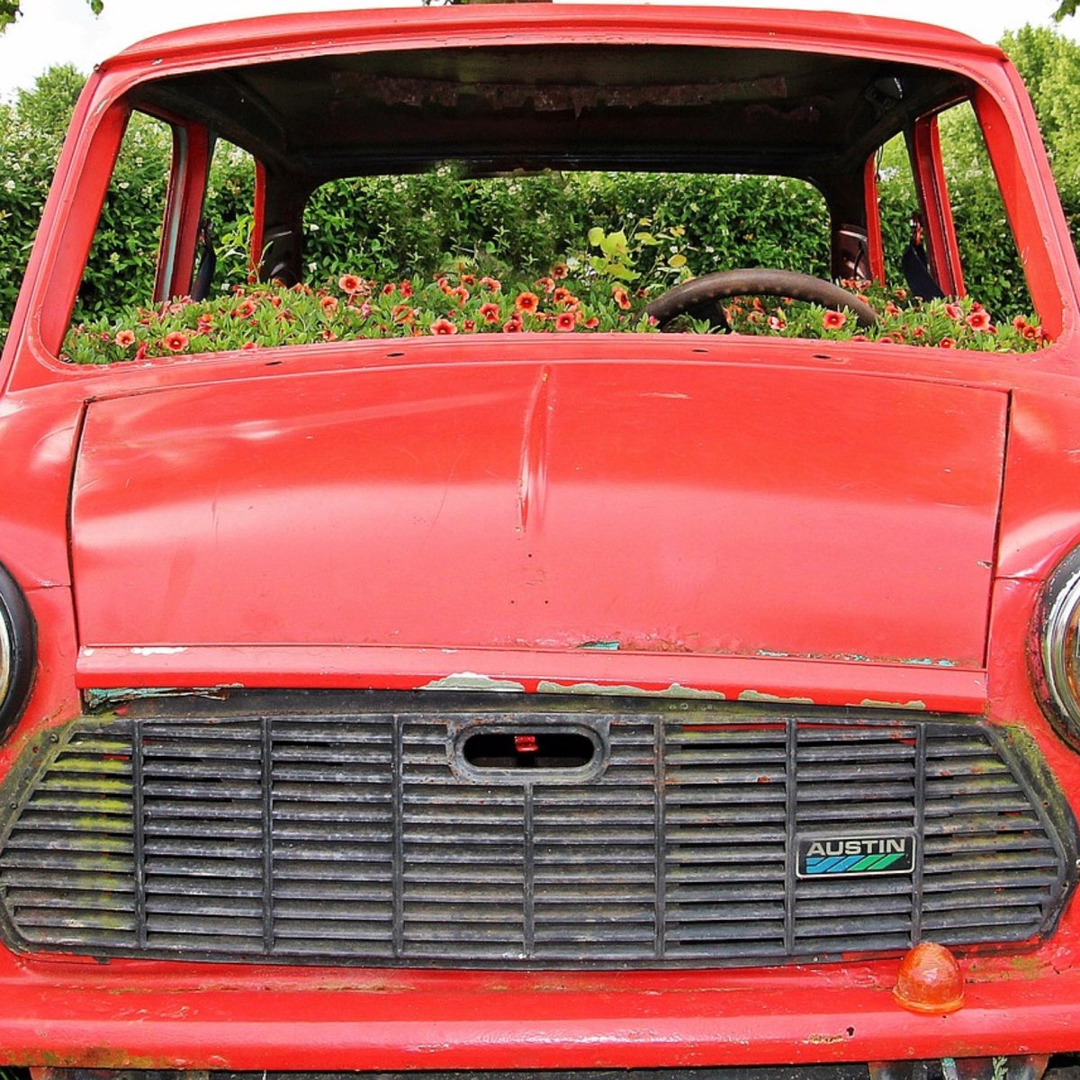 ‎Austin (Did Your Boots Stop Workin'? Did Your Truck Break Down? Cover ...