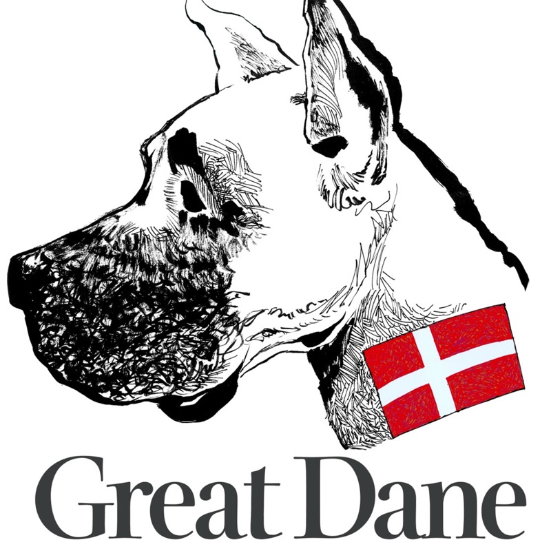The Hurt (feat. Emma Rae) - Steve Hansen aka Great Dane: Song Lyrics ...