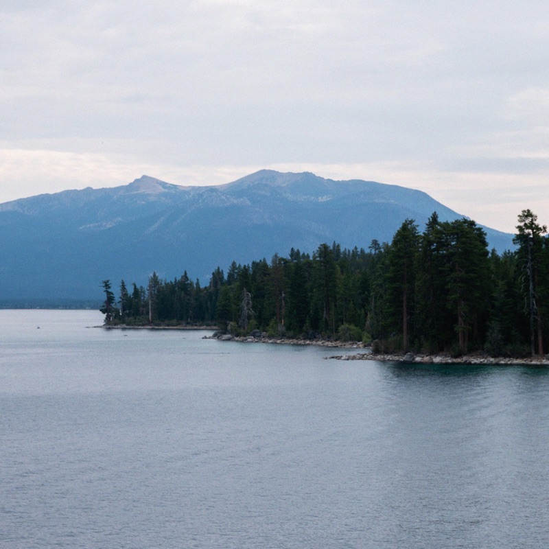 everything i wished for - Tim Schaufert: Song Lyrics, Music Videos ...