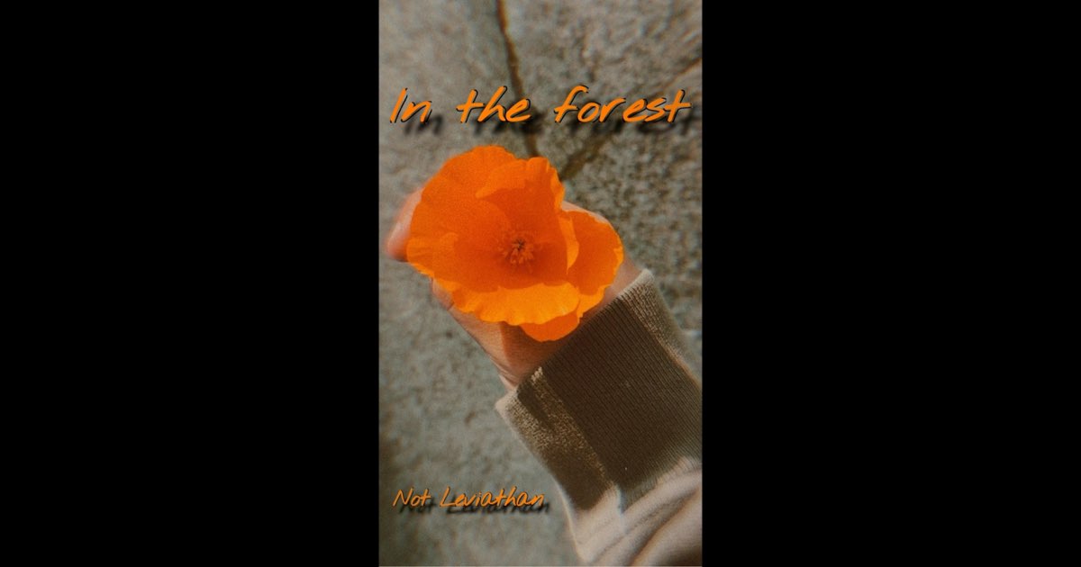 ‎In the forest - EP - Album by Not Leviathan - Apple Music