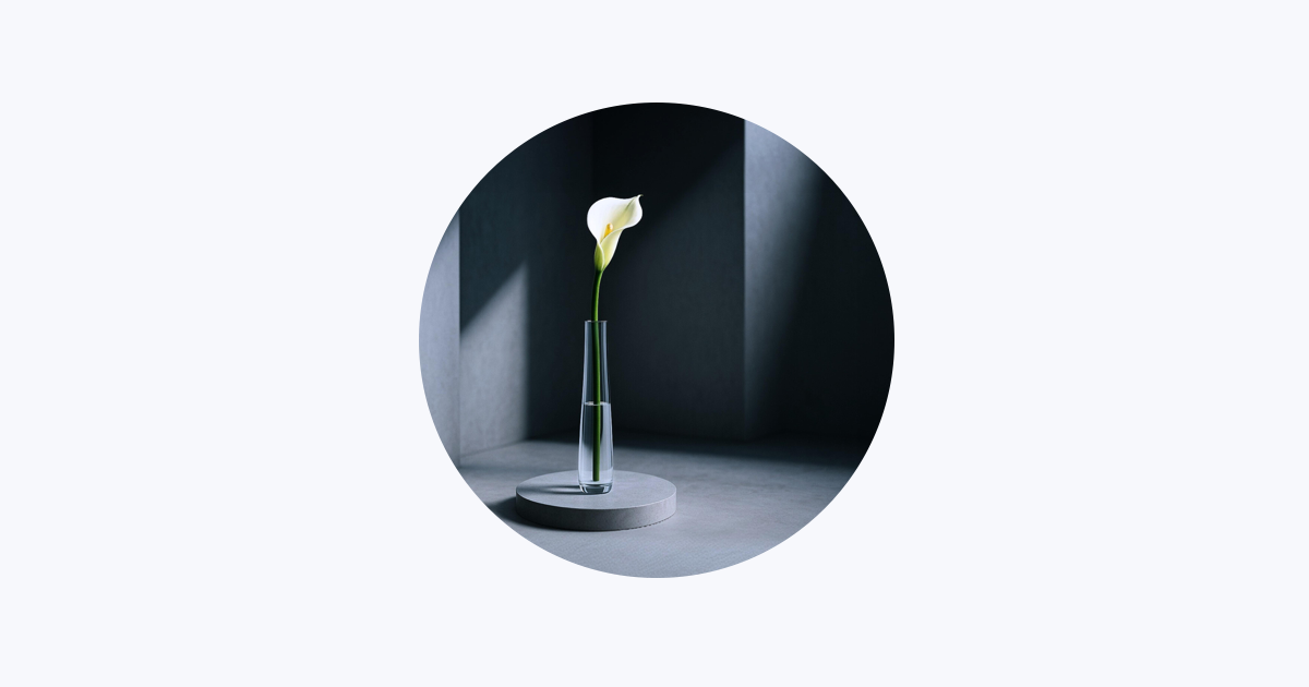 ‎The Focus Plinth - Apple Music