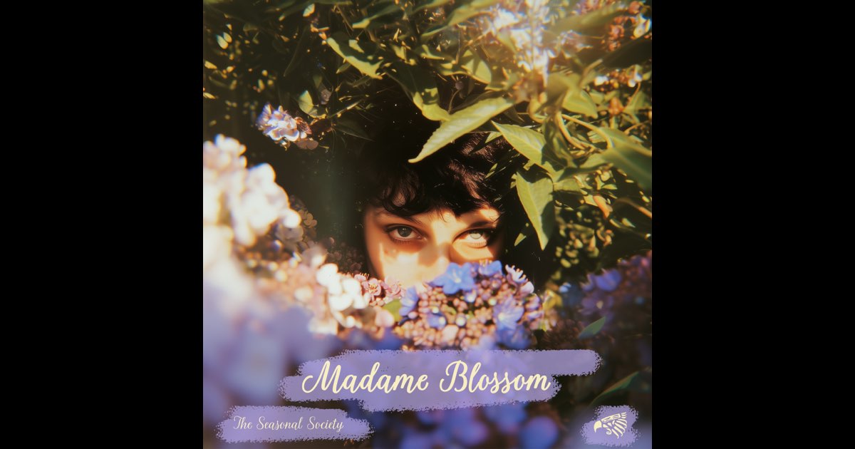 ‎Madam Blossom - Album by The Seasonal Society - Apple Music