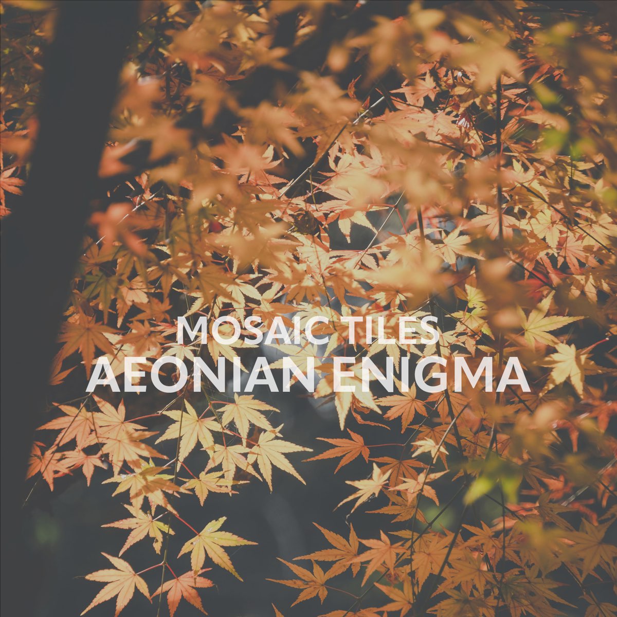 ‎Aeonian Enigma - Single - Album by Mosaic Tiles - Apple Music