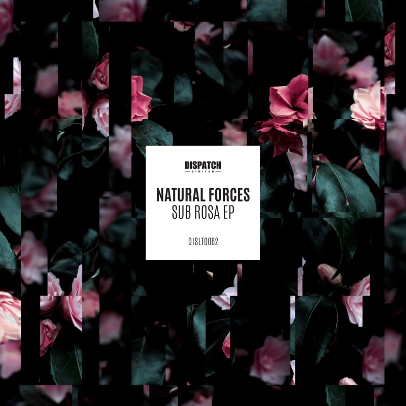 Liaisons - Natural Forces: Song Lyrics, Music Videos & Concerts