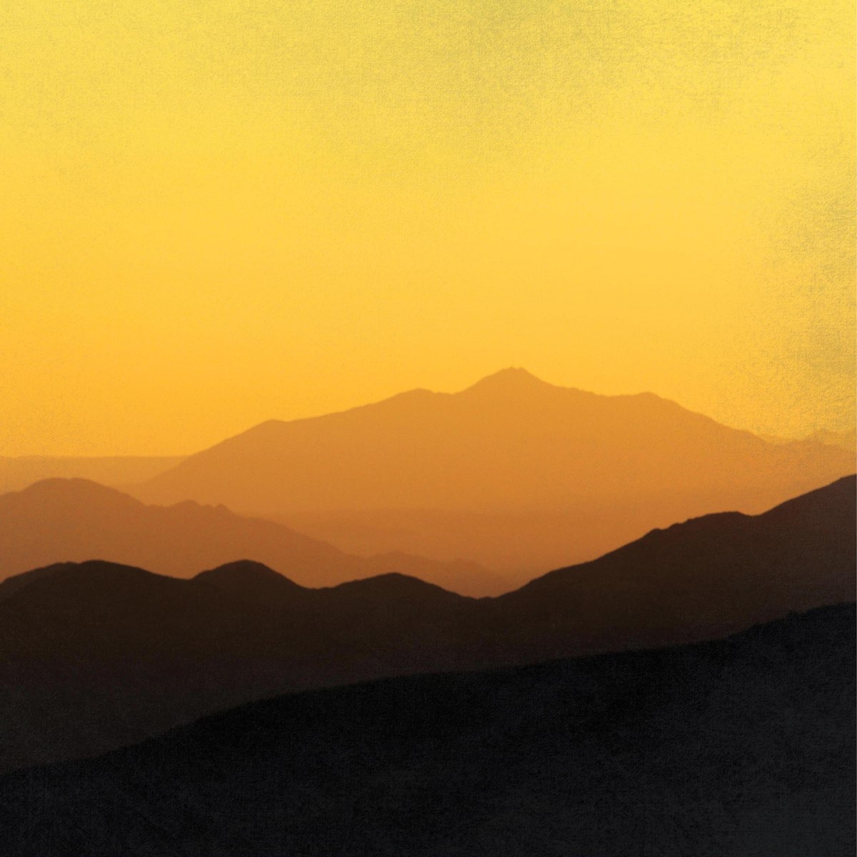 ‎Don't Kill My Vibe - Single - Album by Nic D - Apple Music