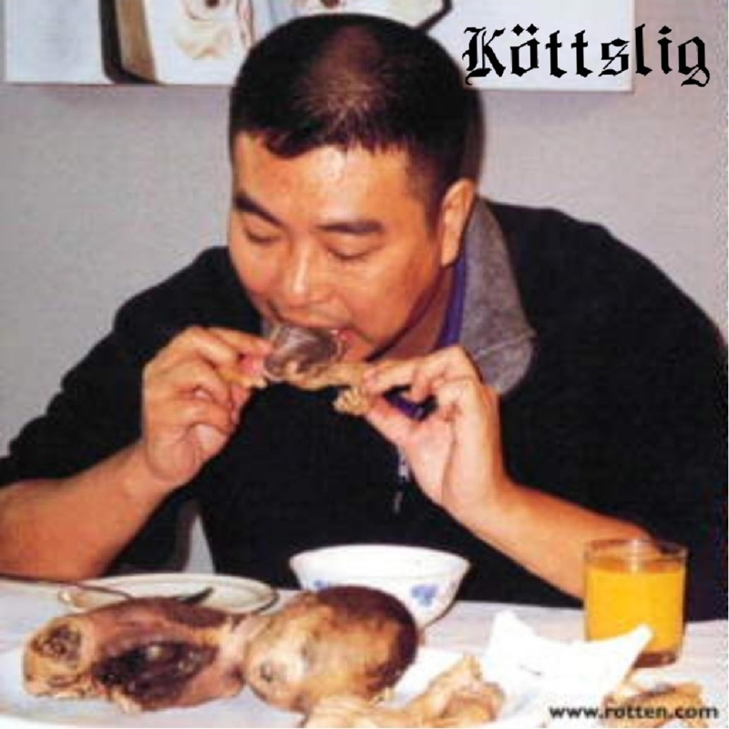 Grotesque Display of Human Anatomy - Köttslig: Song Lyrics, Music ...