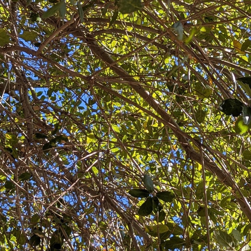 Hello World - Second Hand Ghost: Song Lyrics, Music Videos & Concerts