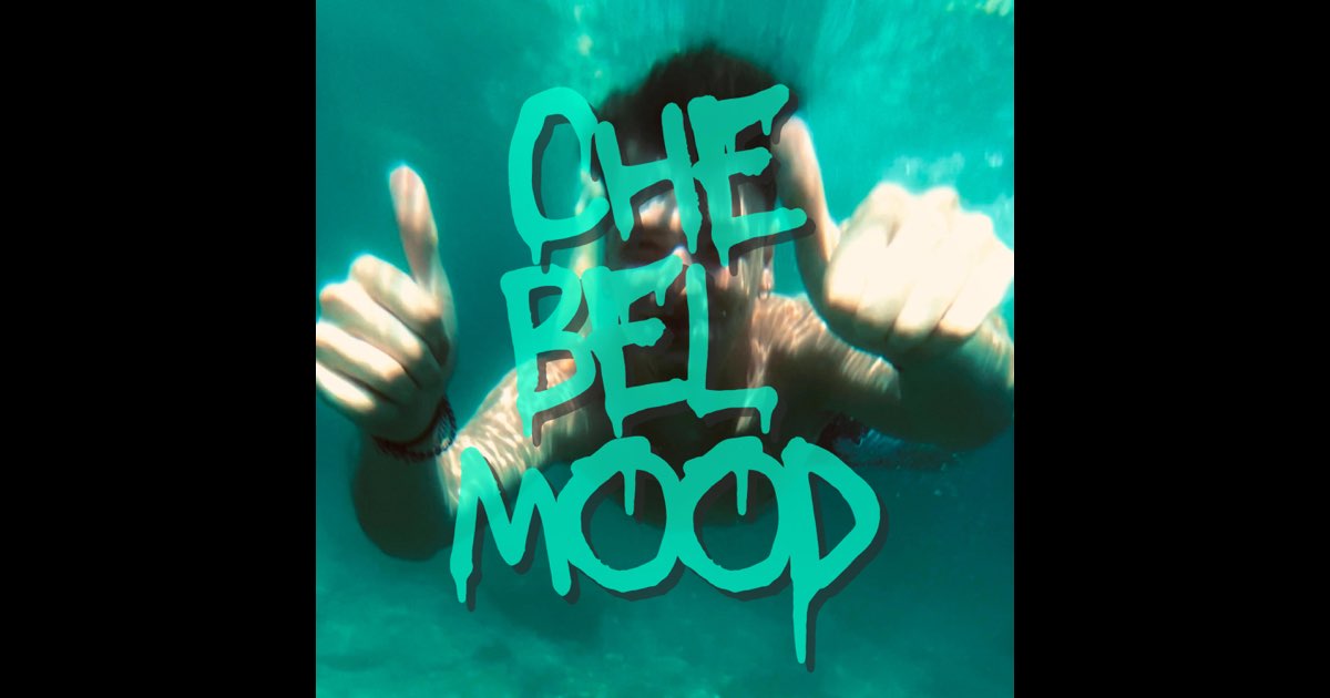 ‎CHE BEL MOOD - Single - Album by ssamu - Apple Music