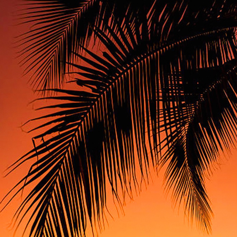 รอหนูที่คู้บอน - Ronu thi khubon - Nack Charlie: Song Lyrics, Music ...