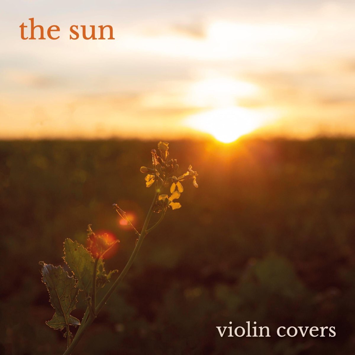 ‎the sun - Single - Album by VIOLIN COVERS - Apple Music