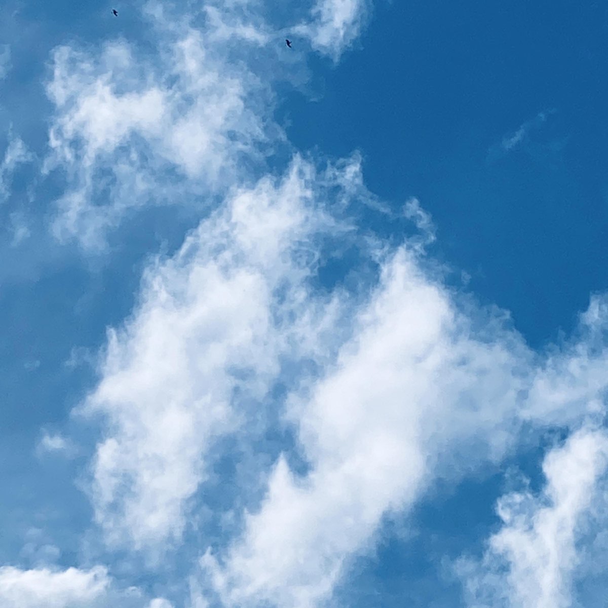 ‎Will It Ever Stop Raining (2024) - Single - Album by Steve Hord ...