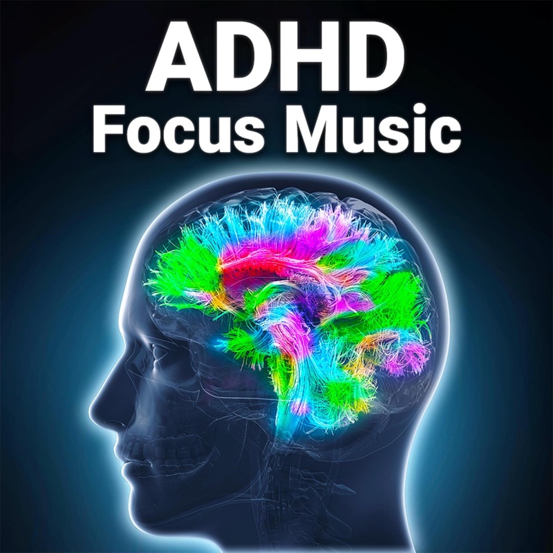 ADHD Focus - WorkFlow Music: Song Lyrics, Music Videos & Concerts