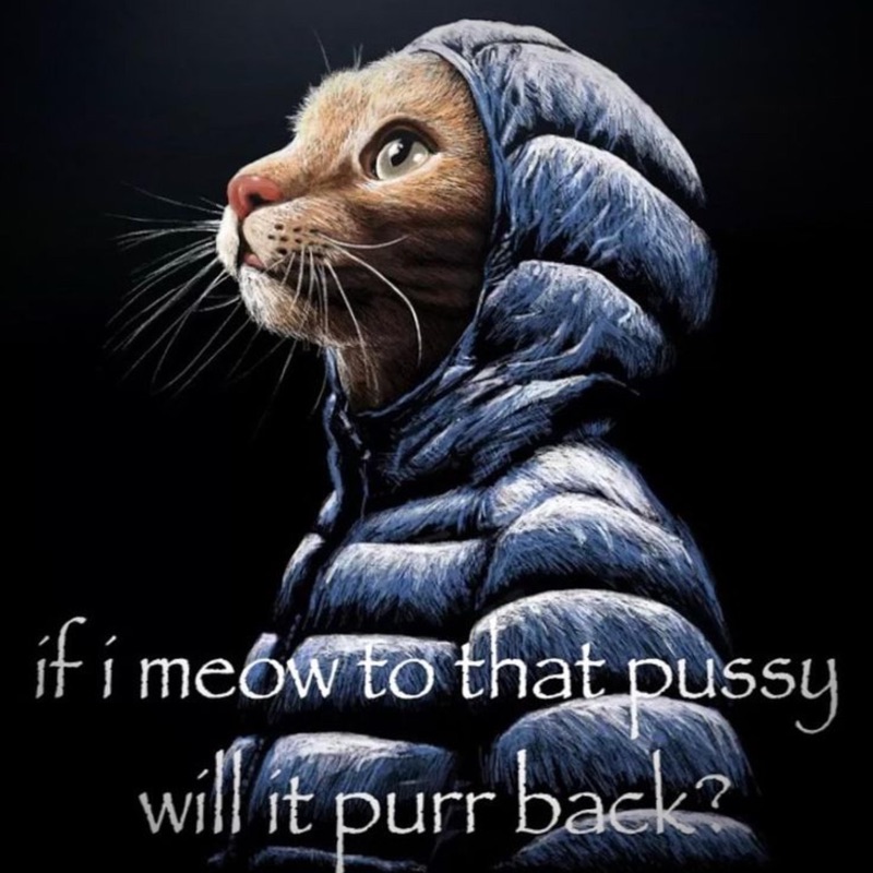 Love Fritzi - Quantavious D.: Song Lyrics, Music Videos & Concerts