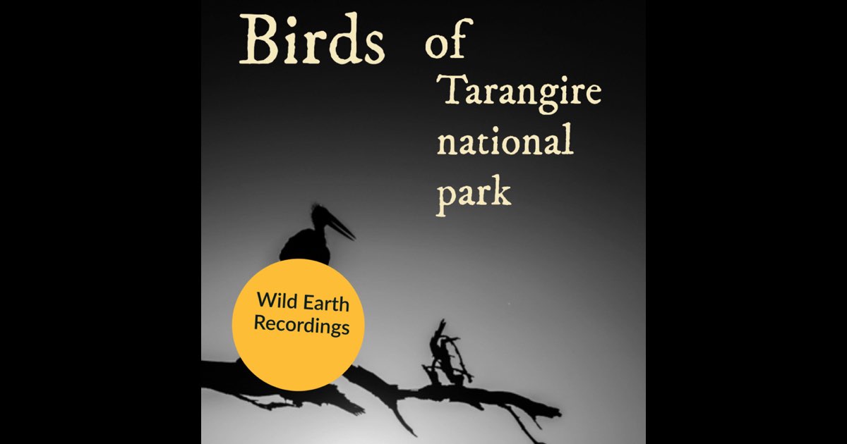 ‎Dawn Chorus (Birds of Tarangire National Park, Tanzania) - Single ...