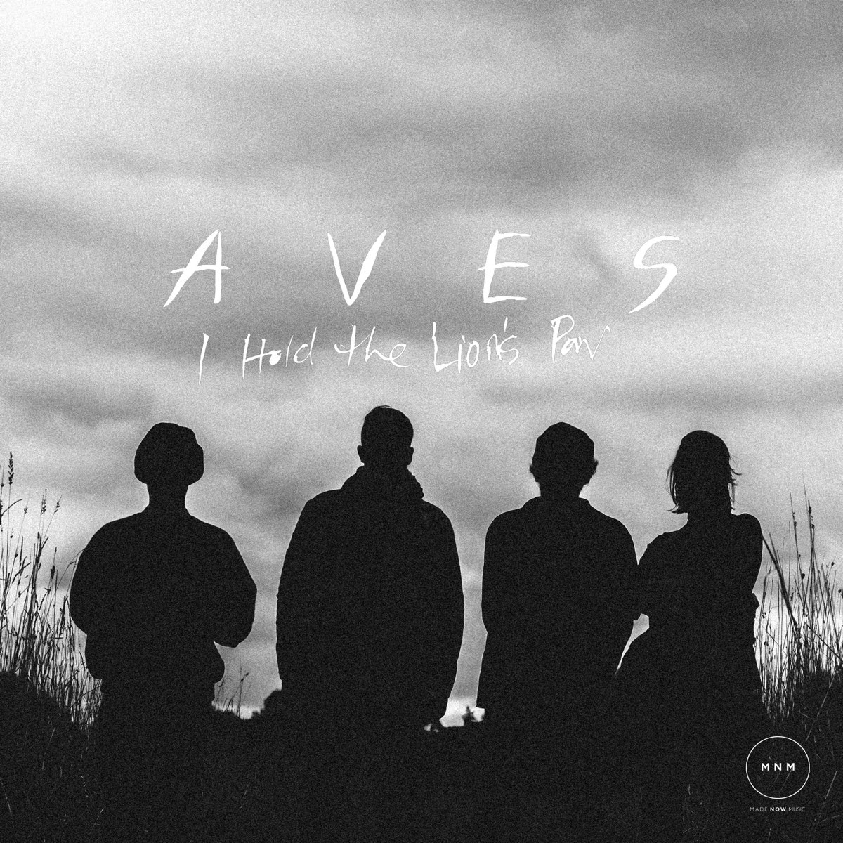 ‎Aves - Single - Album by I Hold the Lion's Paw & Reuben Lewis - Apple ...