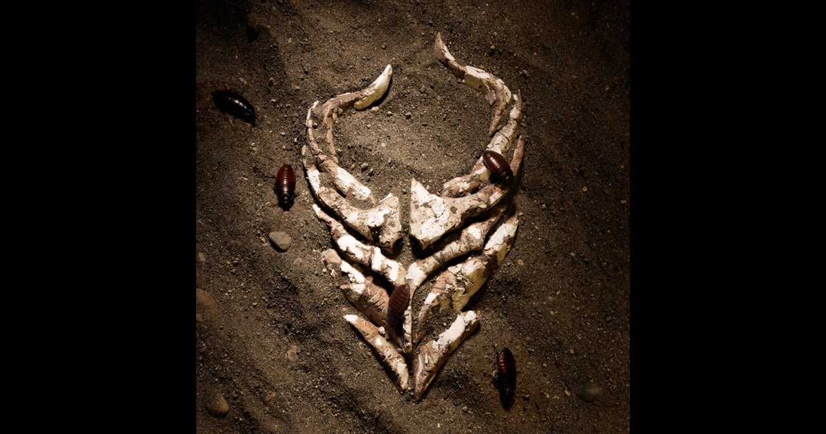 ‎I'm Done - Single - Album by Demon Hunter - Apple Music