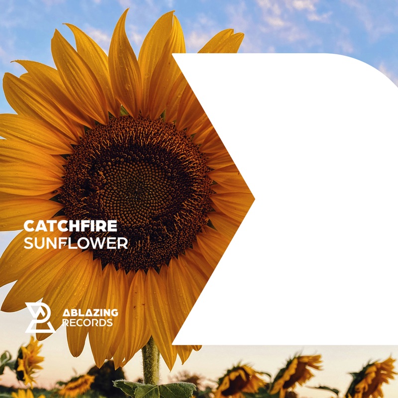 Sunflower (Extended Mix) - catchfire: Song Lyrics, Music Videos & Concerts