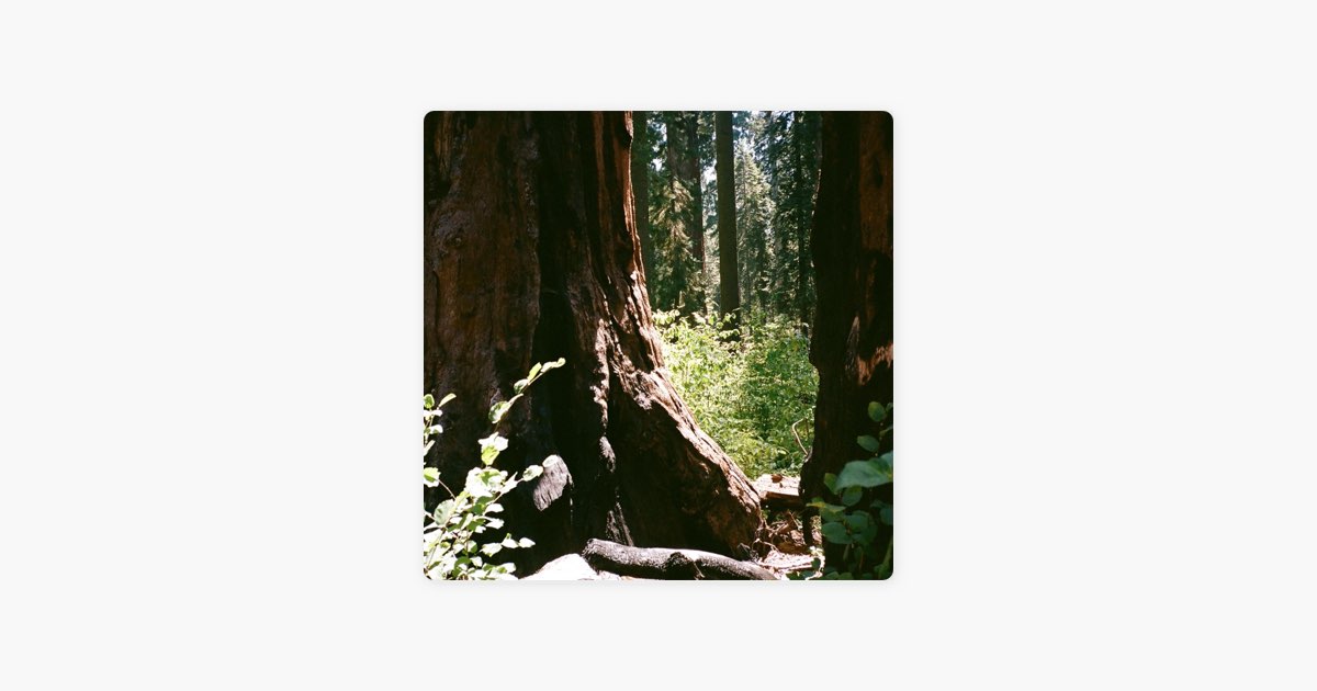 ‎Every Word (Demo) - Song by Ivan Castro - Apple Music