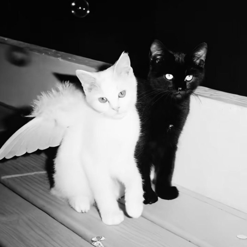 LMIRL (hoodtrap + slowed) - Prod.Vairek: Song Lyrics, Music Videos ...