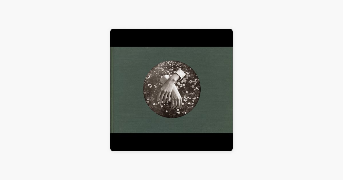 ‎Landscape With a Fairy – Song by aspidistrafly – Apple Music