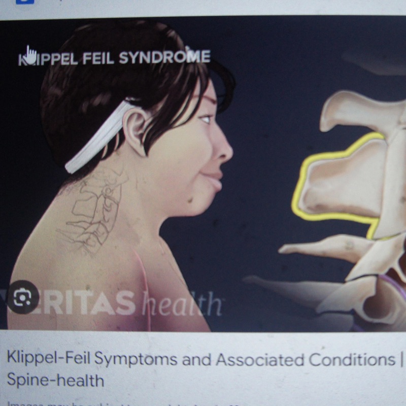 No Neck Jay - Mλяѵ: Song Lyrics, Music Videos & Concerts