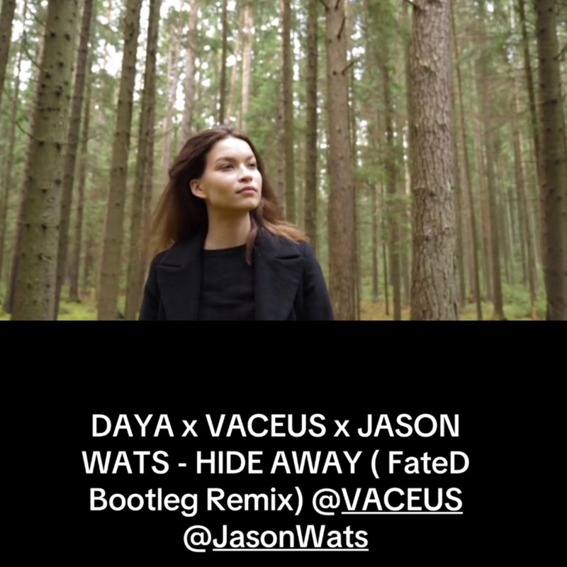 Daya x Vaceus x Jason Wats (Hide Away) [FateD Bootleg Remix] - FateD: Song Lyrics, Music Videos ...
