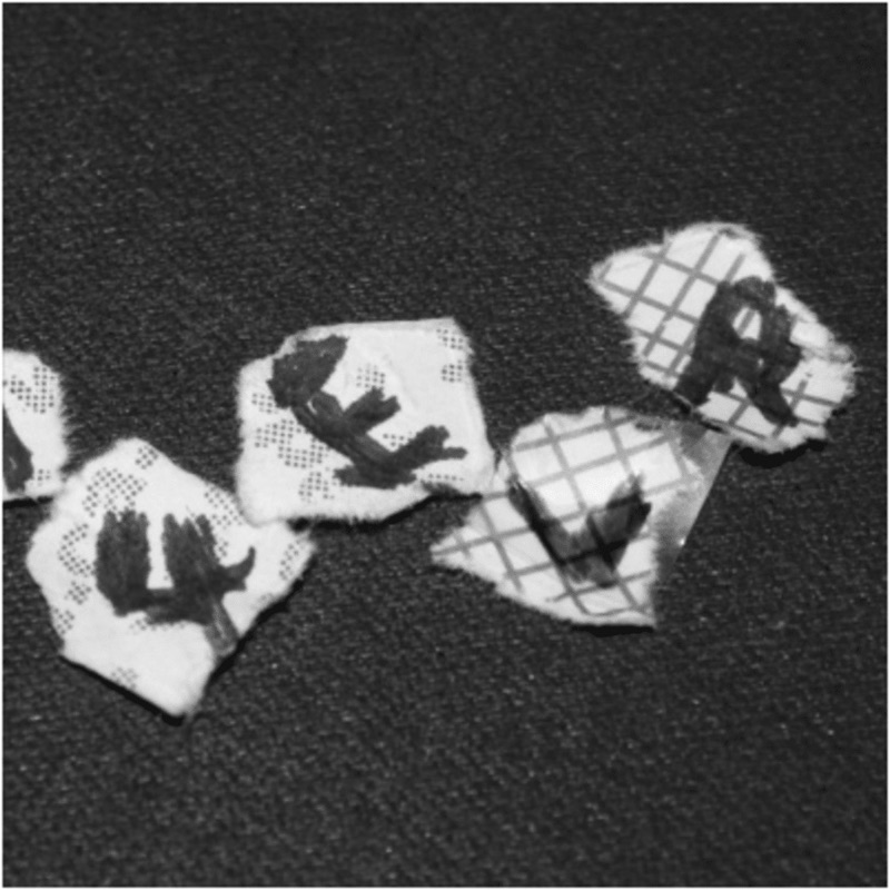 Metamorphosis - bmo: Song Lyrics, Music Videos & Concerts