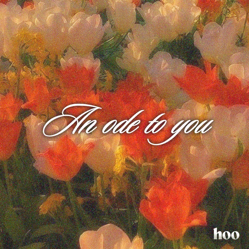 ai mới là người đau (feat. PAGANINO, typbee & Kewwi) - hoo: Song Lyrics ...