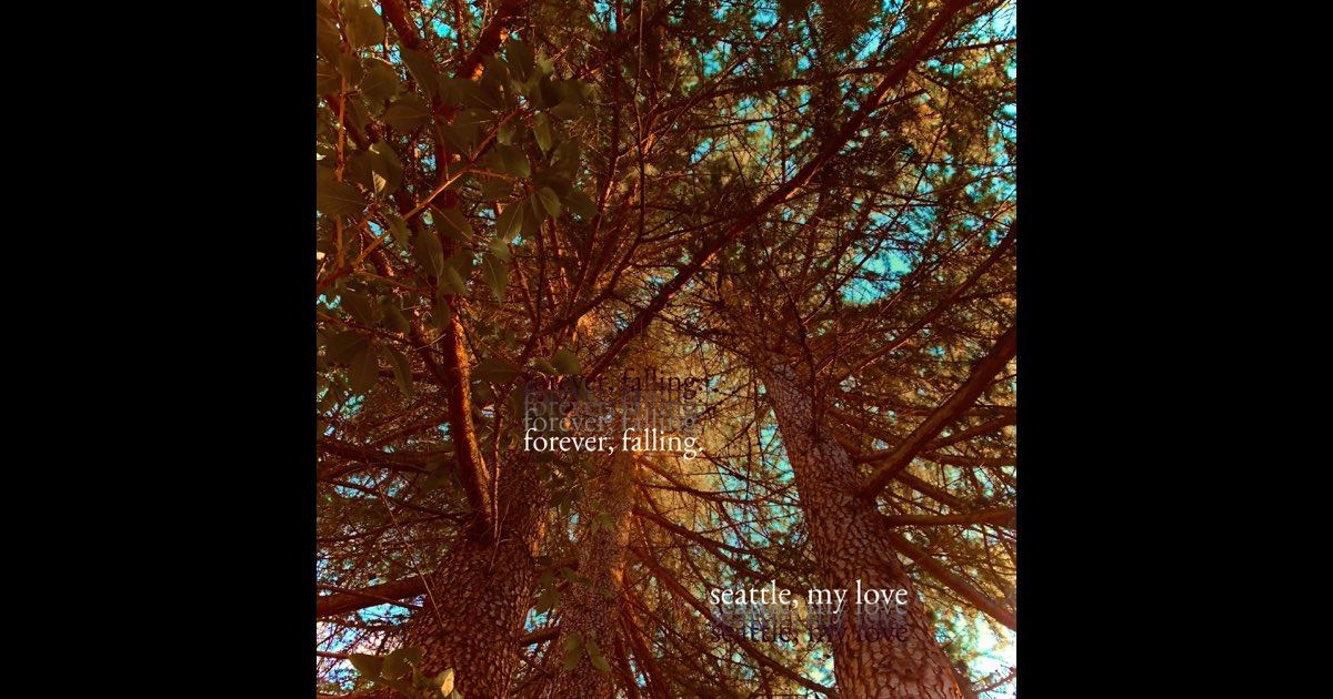 ‎forever, falling. - Single - Seattle, My Love!のアルバム - Apple Music