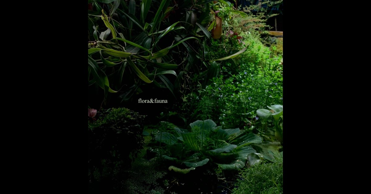 ‎Flora&Fauna - Single - Album by tess olivia - Apple Music