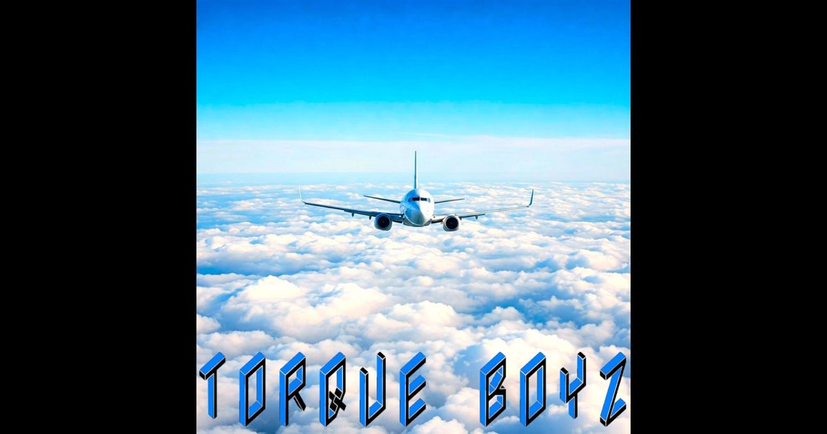 ‎SAS Flygplan Boeing 737 Jet Motorer - Boarding Complete - Cabin Crew ...