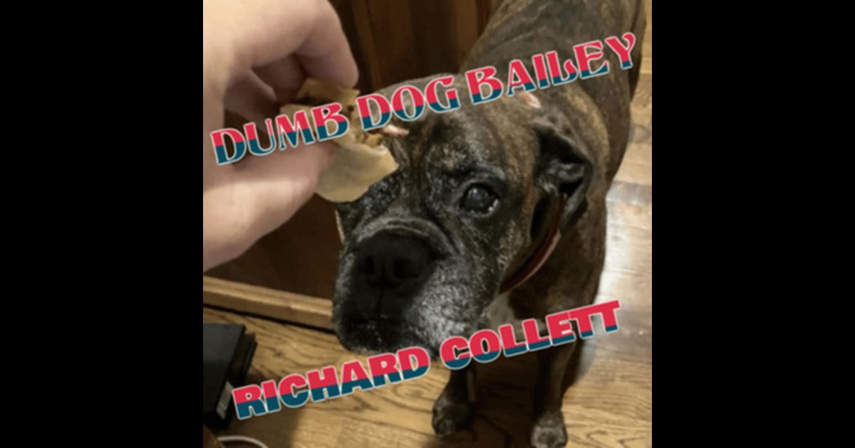 ‎Dumb Dog Bailey — álbum de Richard Collett — Apple Music