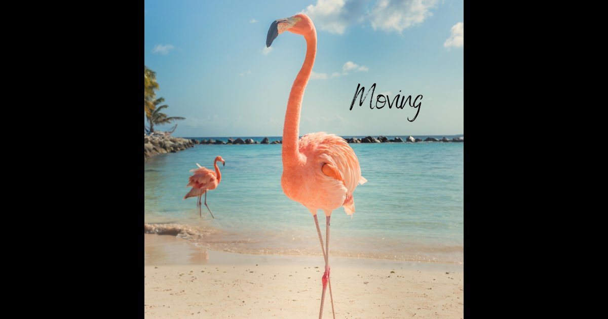 ‎Moving (feat. Sammy River) - Single – Album von Hawk & The Afro-Latin ...